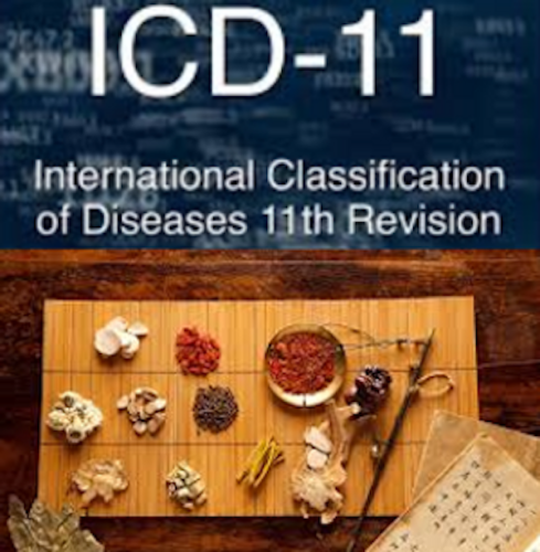 Traditional Medicine Standard Terminology: Bridge to the ICD-11 Billing ...